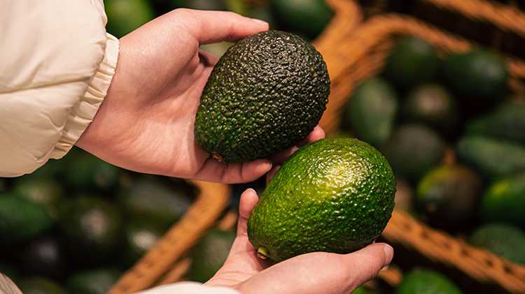 Guacamole Crimes: How to Know if an Avocado Is Bad| Amigo - Amigo ...